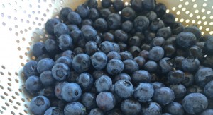 The Complete Guide to Preserving and Using Preserved Blueberries ...