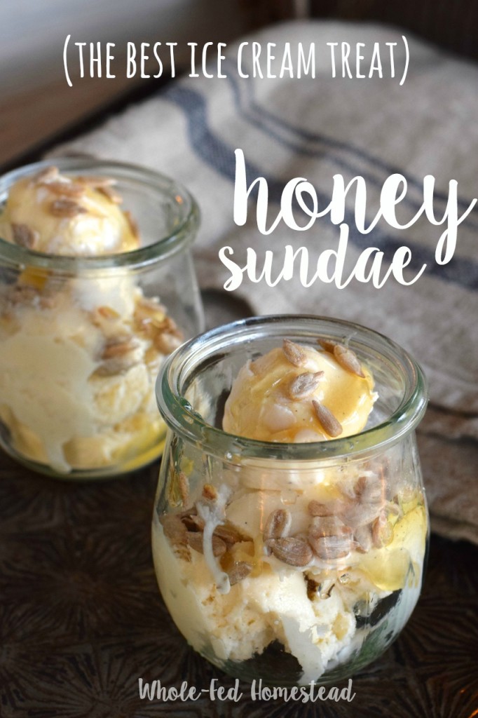 Honey Sundae: The Best Ice Cream Treat - Whole-Fed Homestead