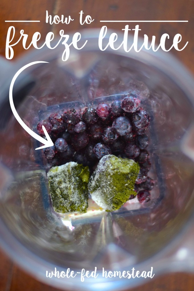 How to Freeze Lettuce - Whole-Fed Homestead