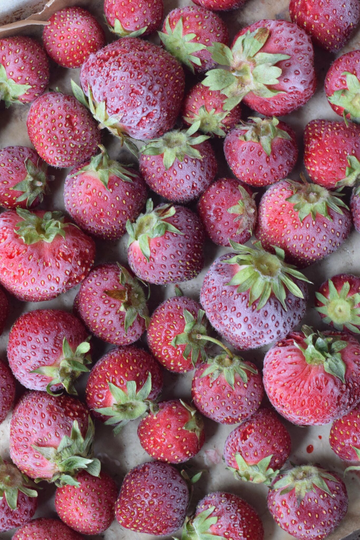 How to Defrost a Chest Freezer & How to Organize a Chest Freezer ...