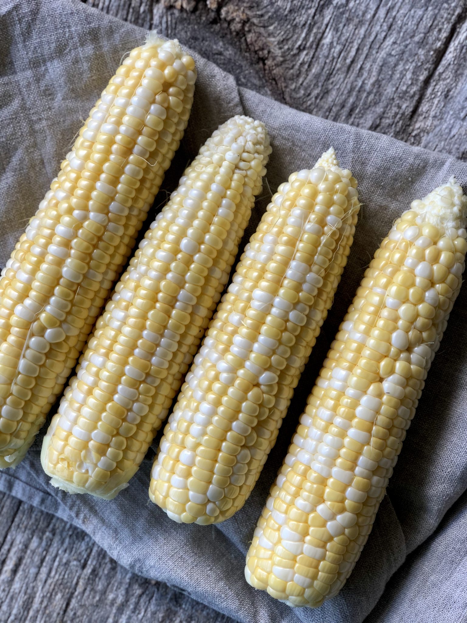 My Favorite "Tried and True" Vegetable Varieties & Seed Companies ...