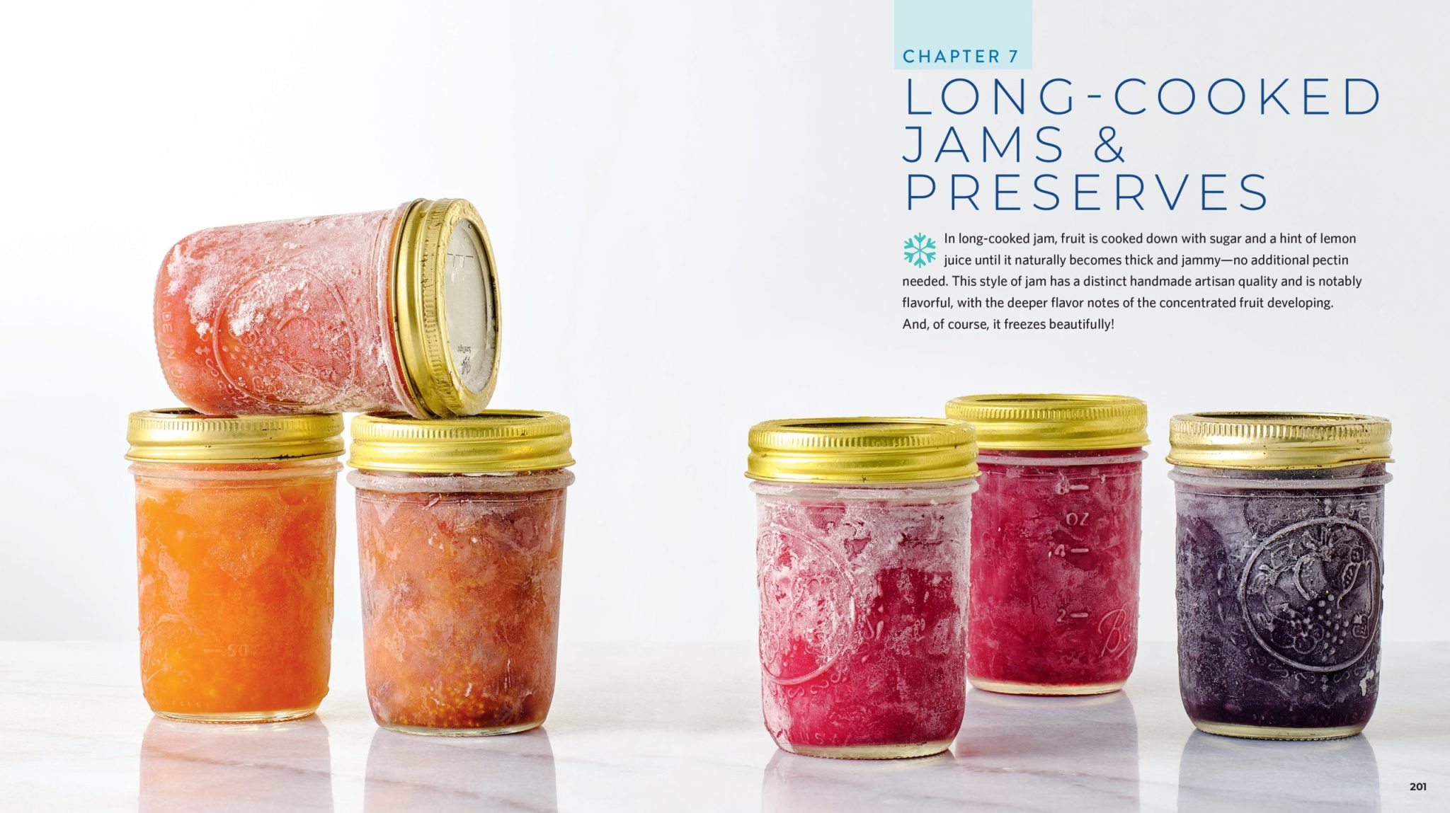 Freeze Fresh Meal Prep book long cooked jams - Whole-Fed Homestead