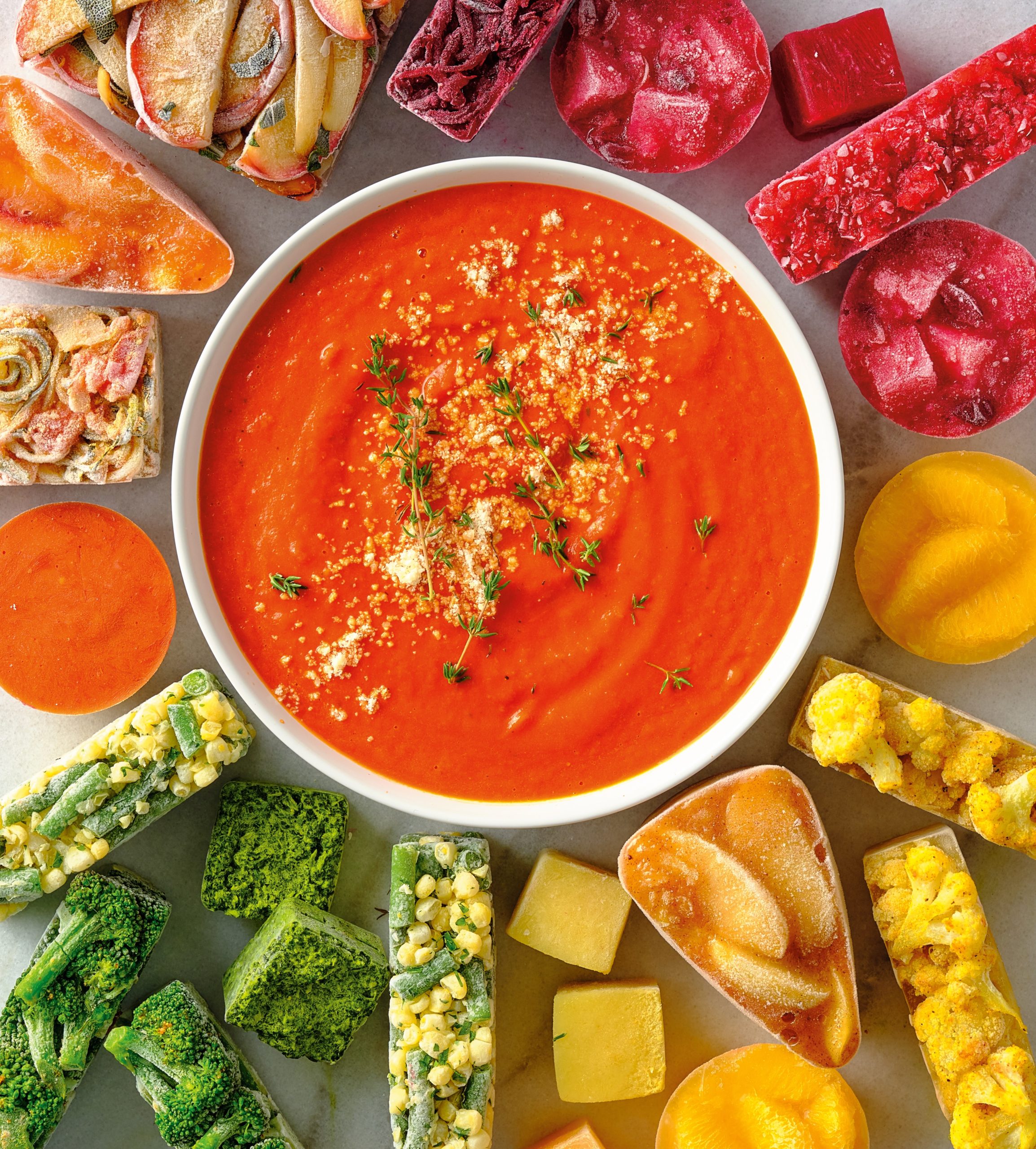 Freeze Fresh Meal Prep book soup frozen blocks - 1 - Whole-Fed Homestead